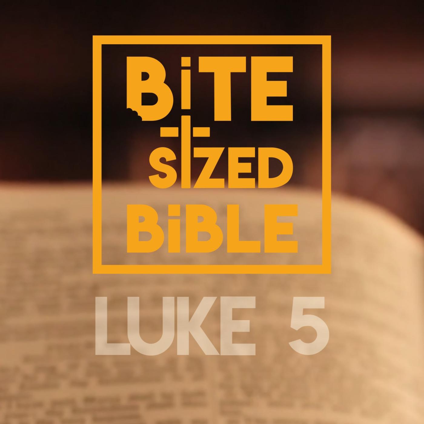 Luke Chapter 3 - Bite-sized Audio Bible Reading - Bite-Sized Bible ...