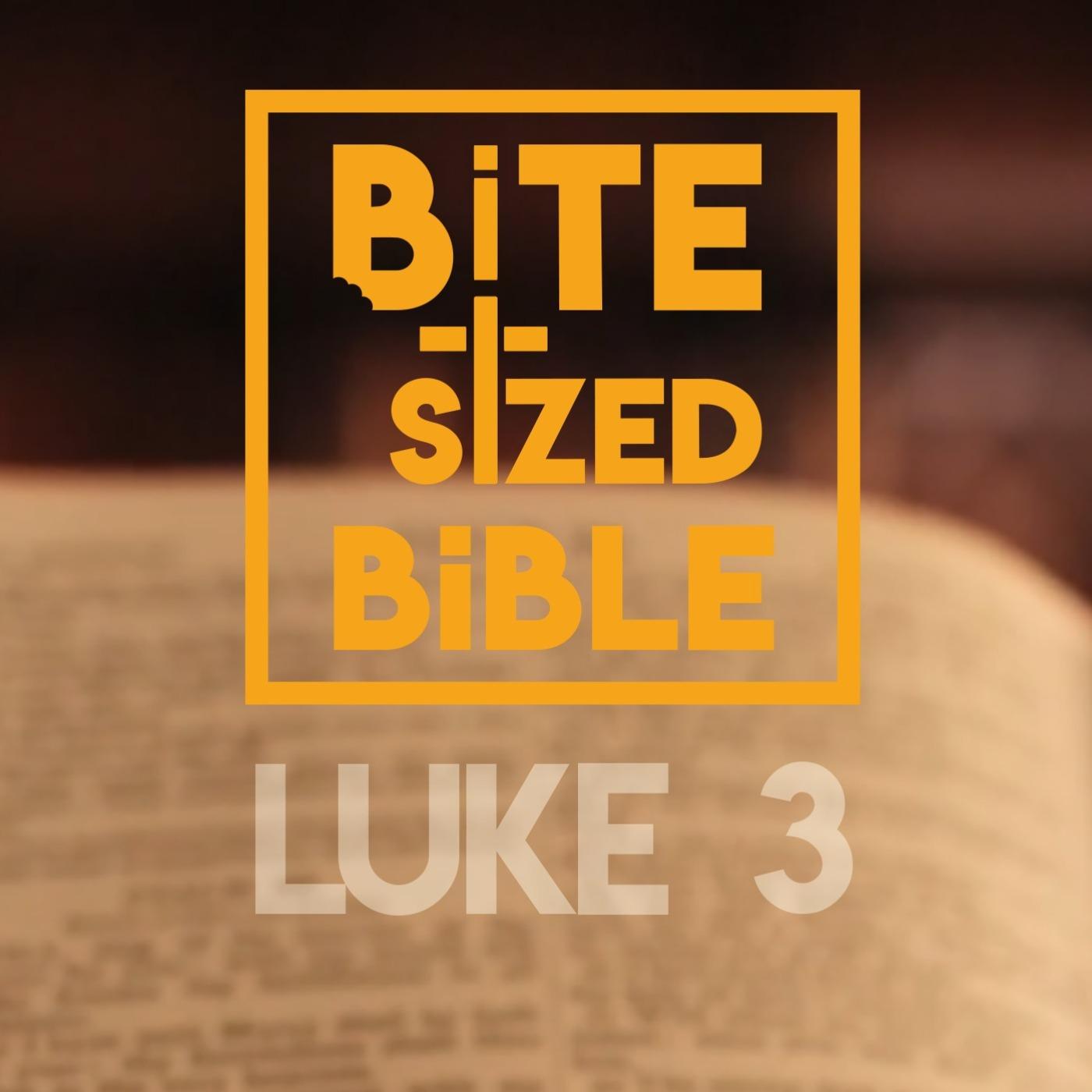 Luke Chapter 3 - Bite-sized Audio Bible Reading - Bite-Sized Bible ...