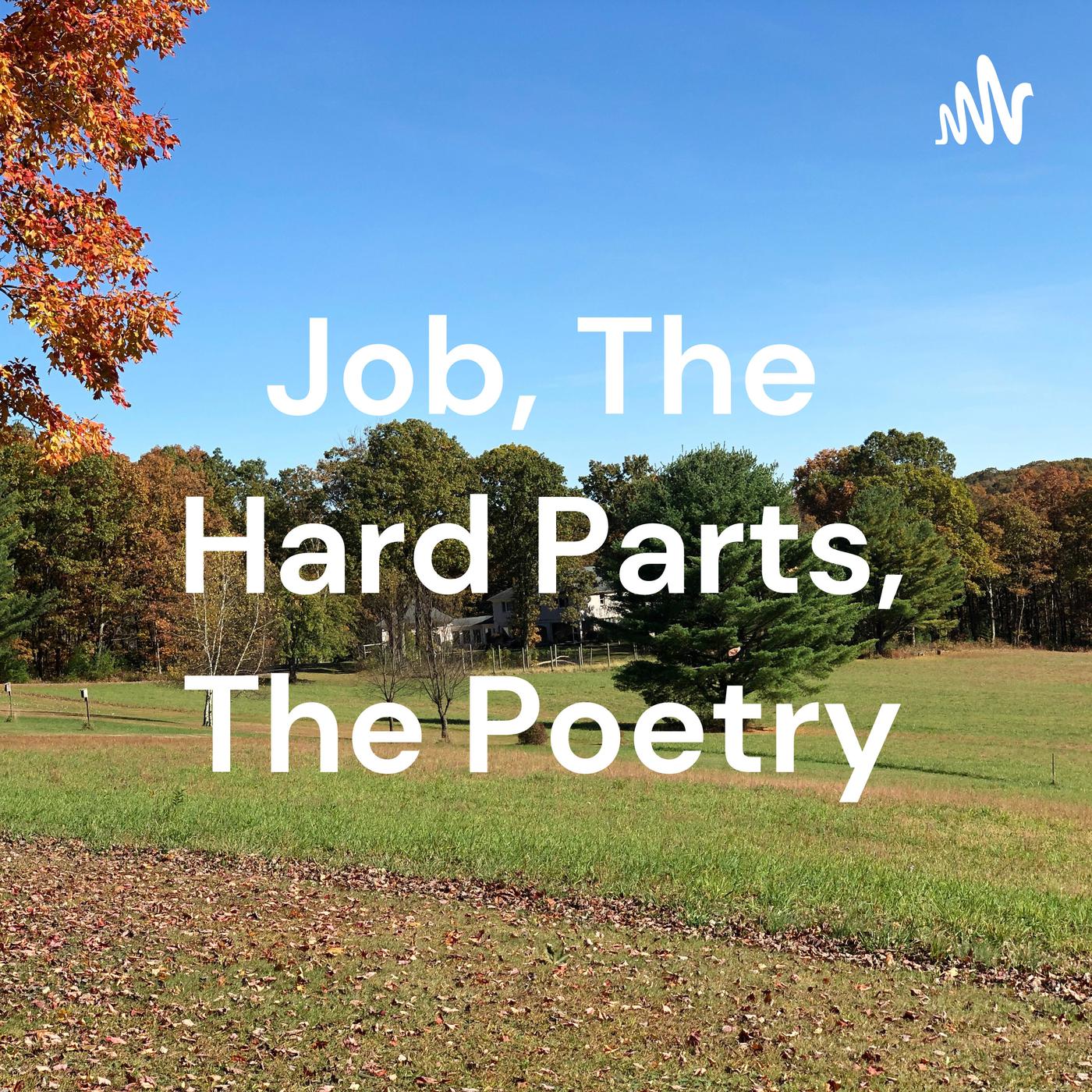 Job Chapter 20: Zophar on the whole "reap what you sew" thing | Listen ...