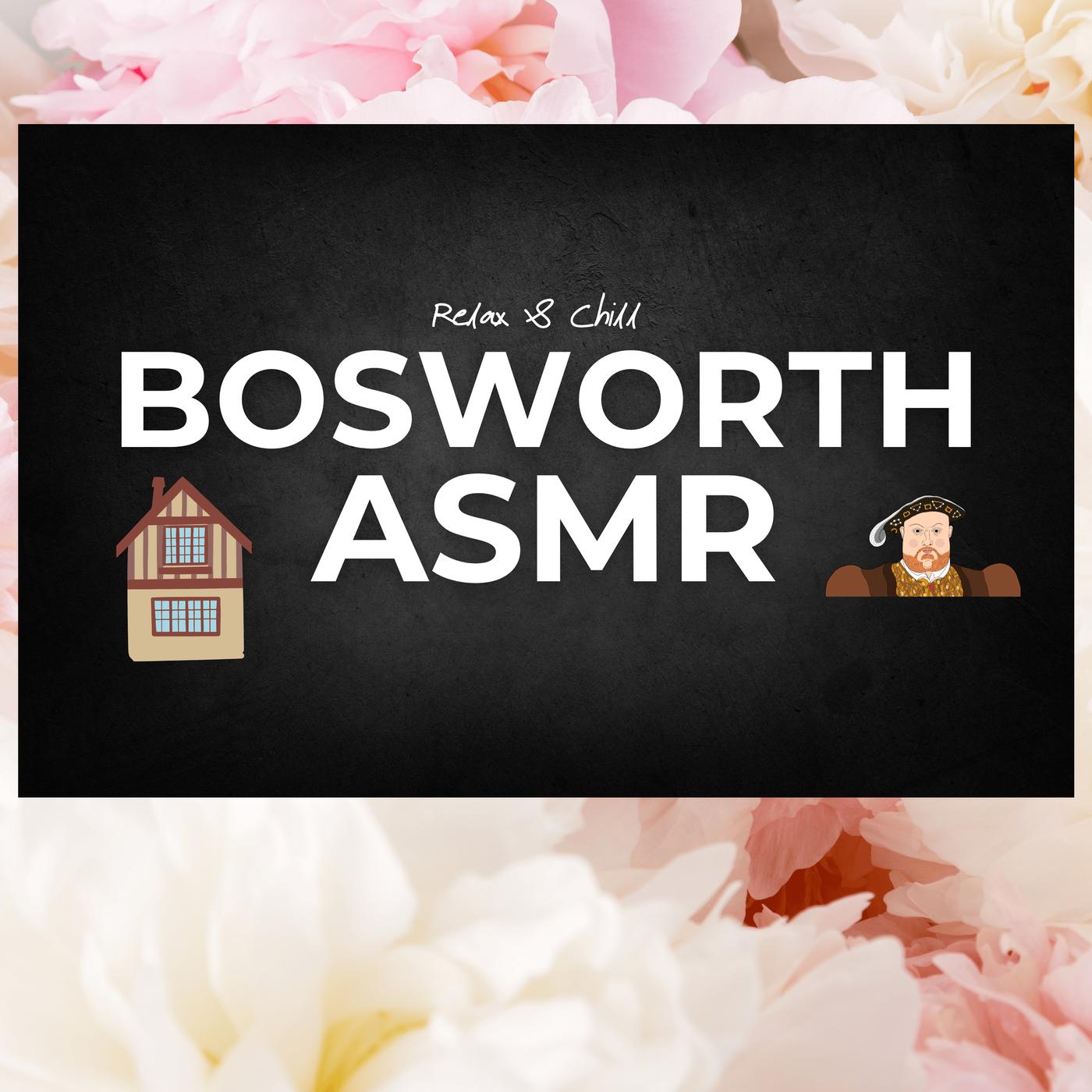 History Medieval ASMR The Battle of Bosworth with Low Meditation Music ...