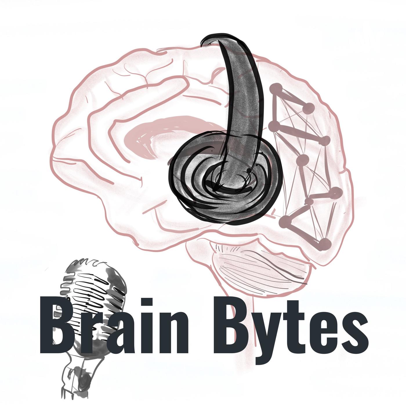Neural Network: Kevan Kidder - Husky Brain Bytes (podcast) | Listen Notes
