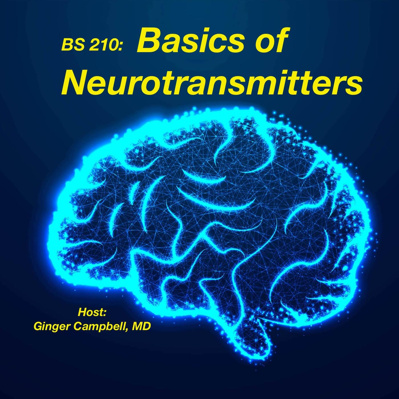 BS 177 Bernard Baars with David Edelman - Brain Science with Ginger ...