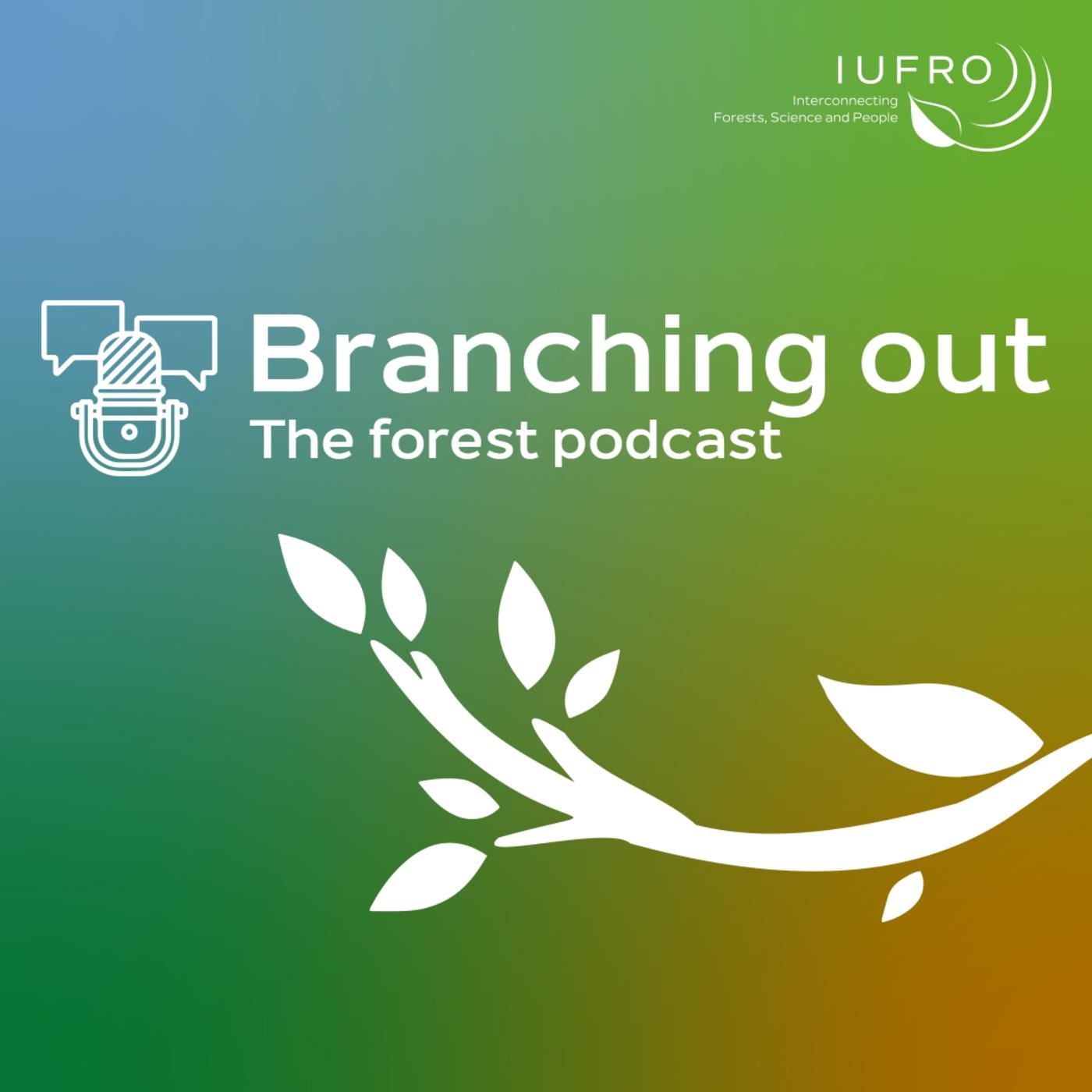 IUFRO-SPDC (interview with Michael Kleine) - by the International Union of Forest Research ...