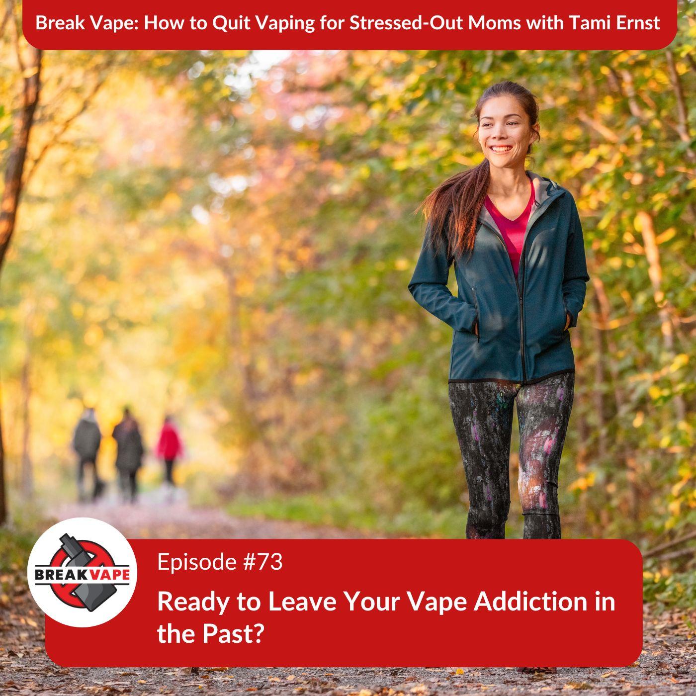 74. What to Expect When You Quit Vaping - Break Vape: How to Quit ...