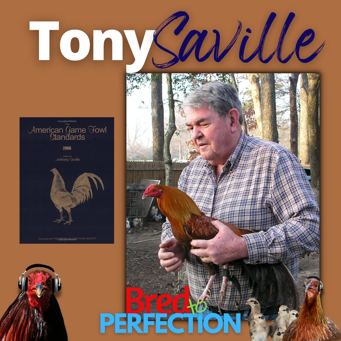 Fan Favorite Rerun – The Misconceptions of Breeding with Tony Saville ...