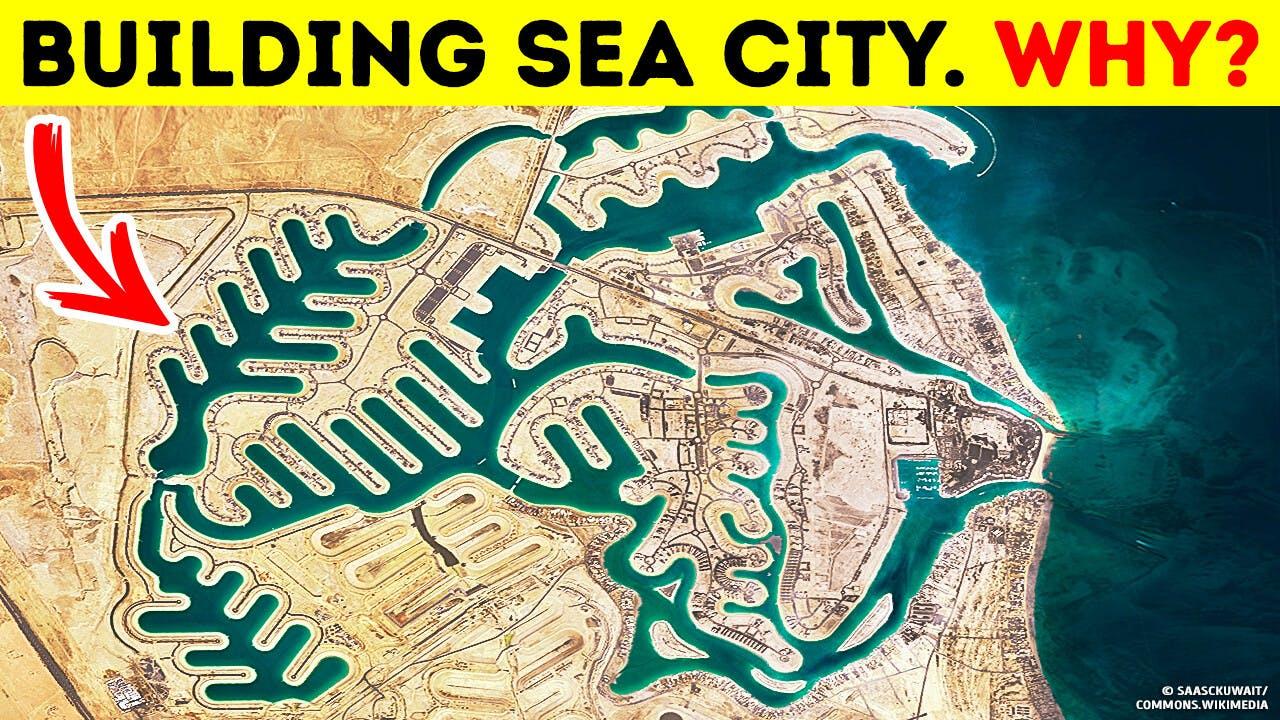 If You Wondered Why Your Body Does That, Now You Know | Listen Notes