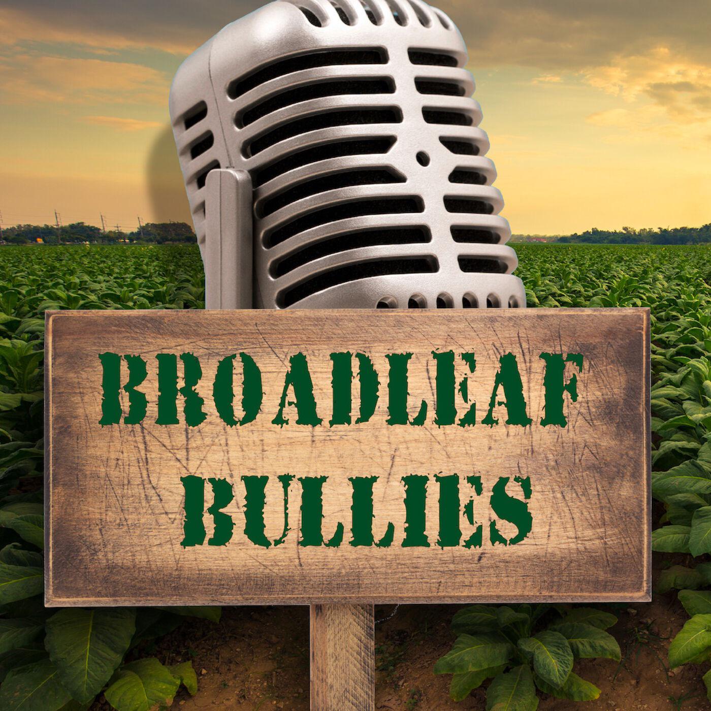 Jessie, Kerr and a whole lotta socks - Broadleaf Bullies (podcast ...