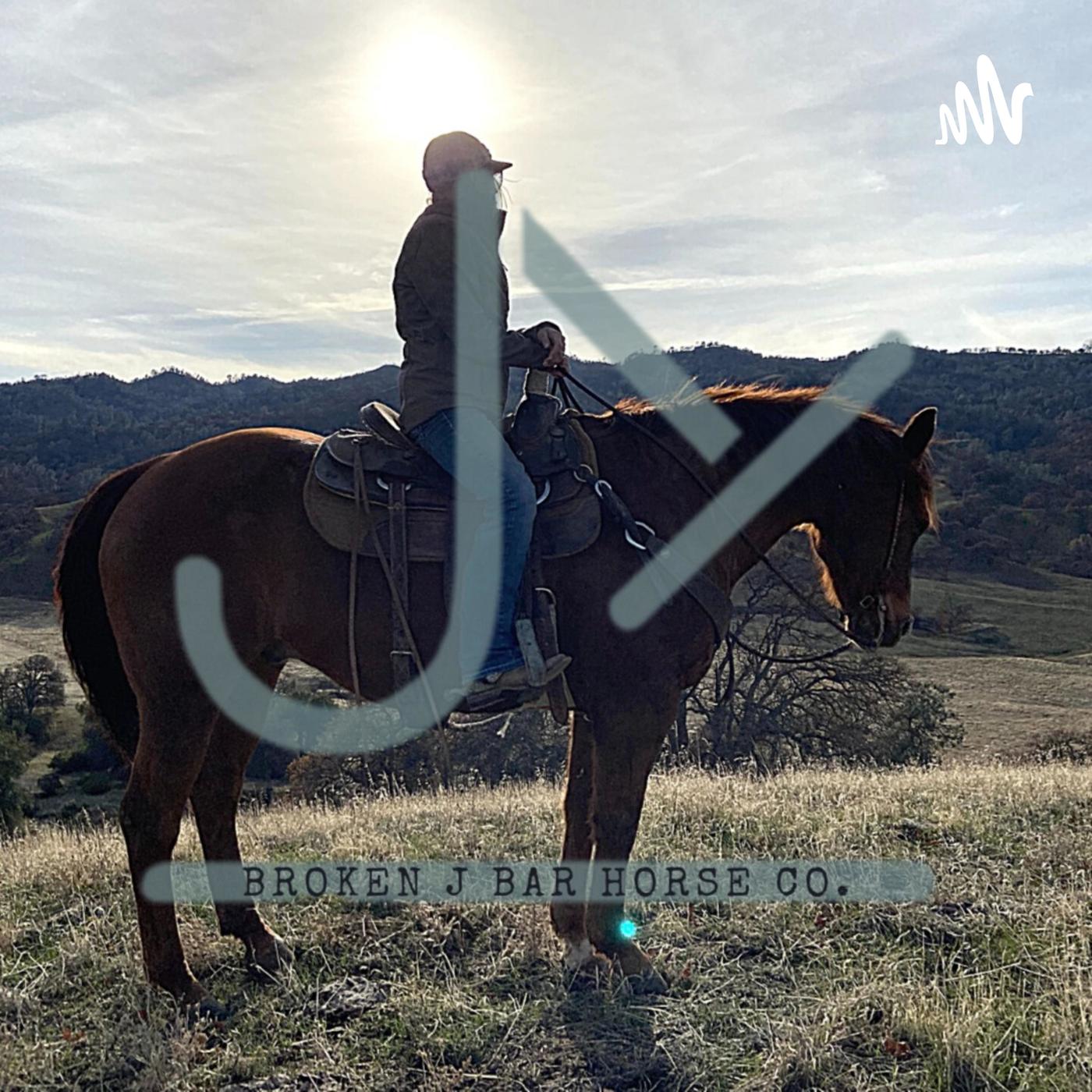 A 1% Week, Where TF Did My Motivation Go? - Broken J Bar Diaries ...