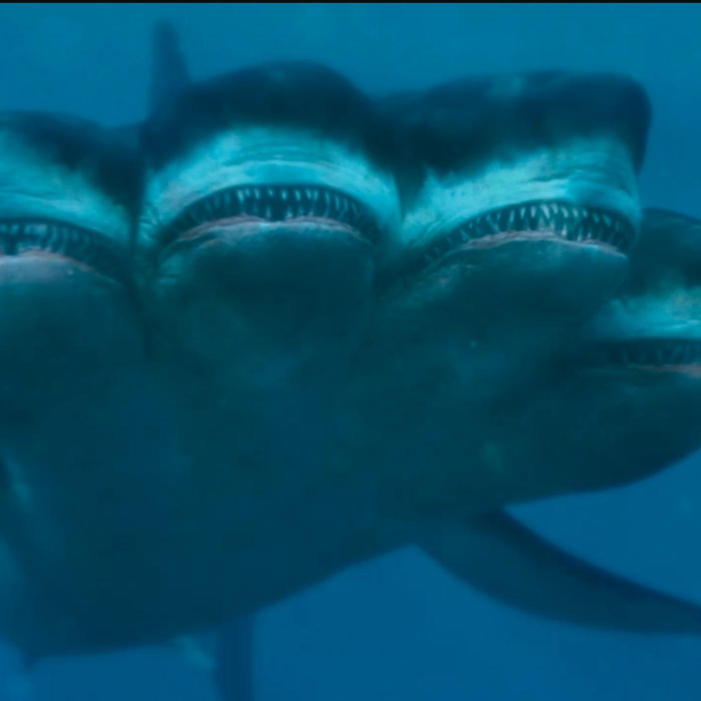 The Sharkfighters (1956) - Bucket of Chum (podcast) | Listen Notes