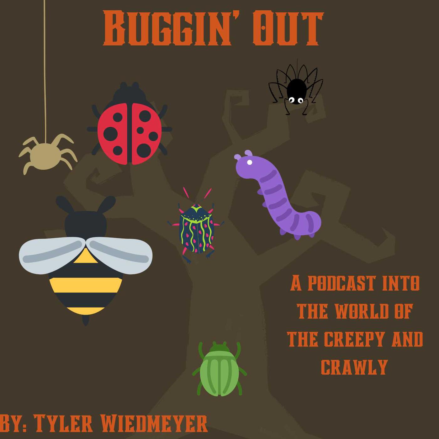 Buggin' Out Episode 1: Membracids with Tyler Hagerty | Listen Notes