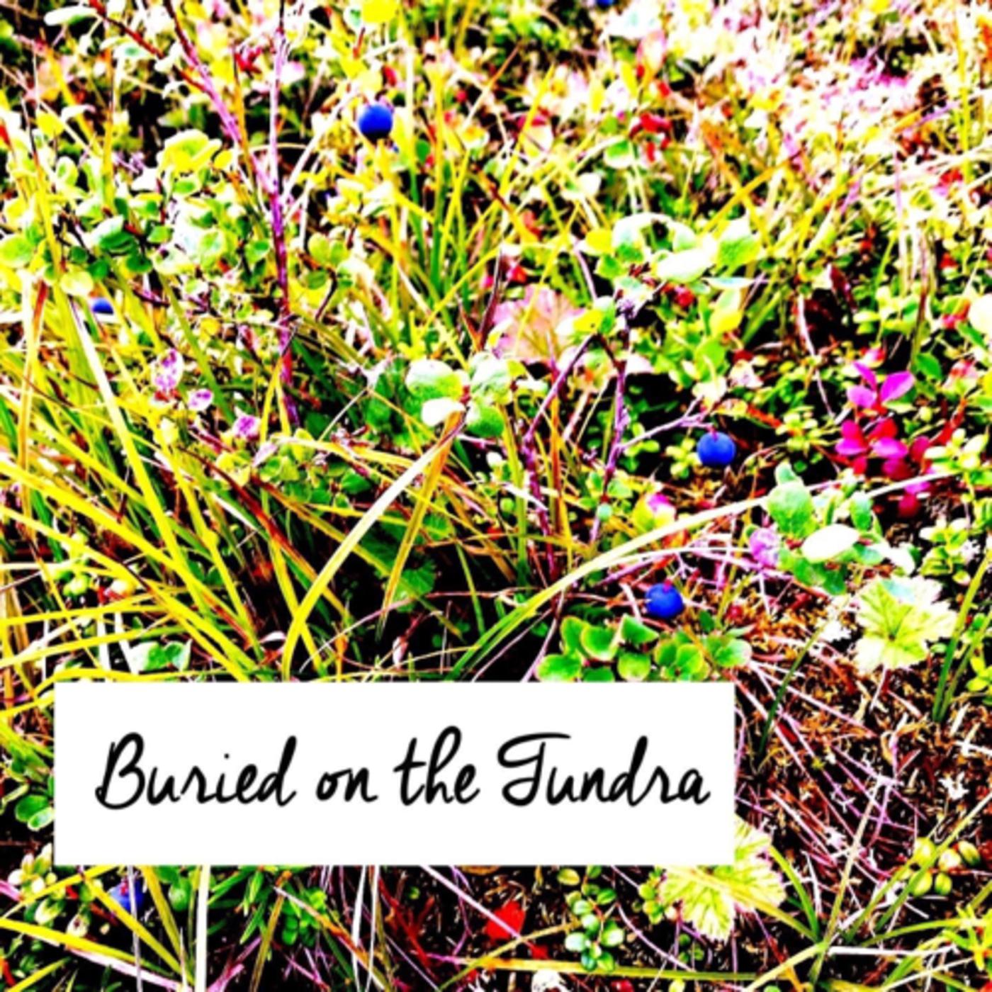 The Disappearance of Gabriel Fox - Buried on the Tundra (podcast ...