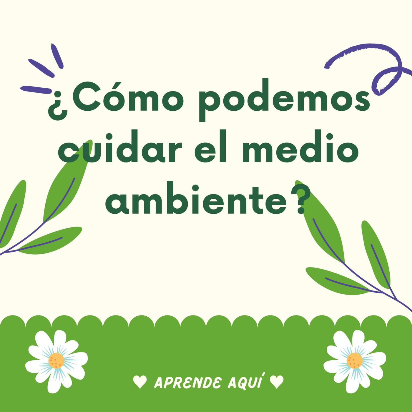 ¿Cómo podemos cuidar el medio ambiente? (podcast) - Sección AHC300-01 ...