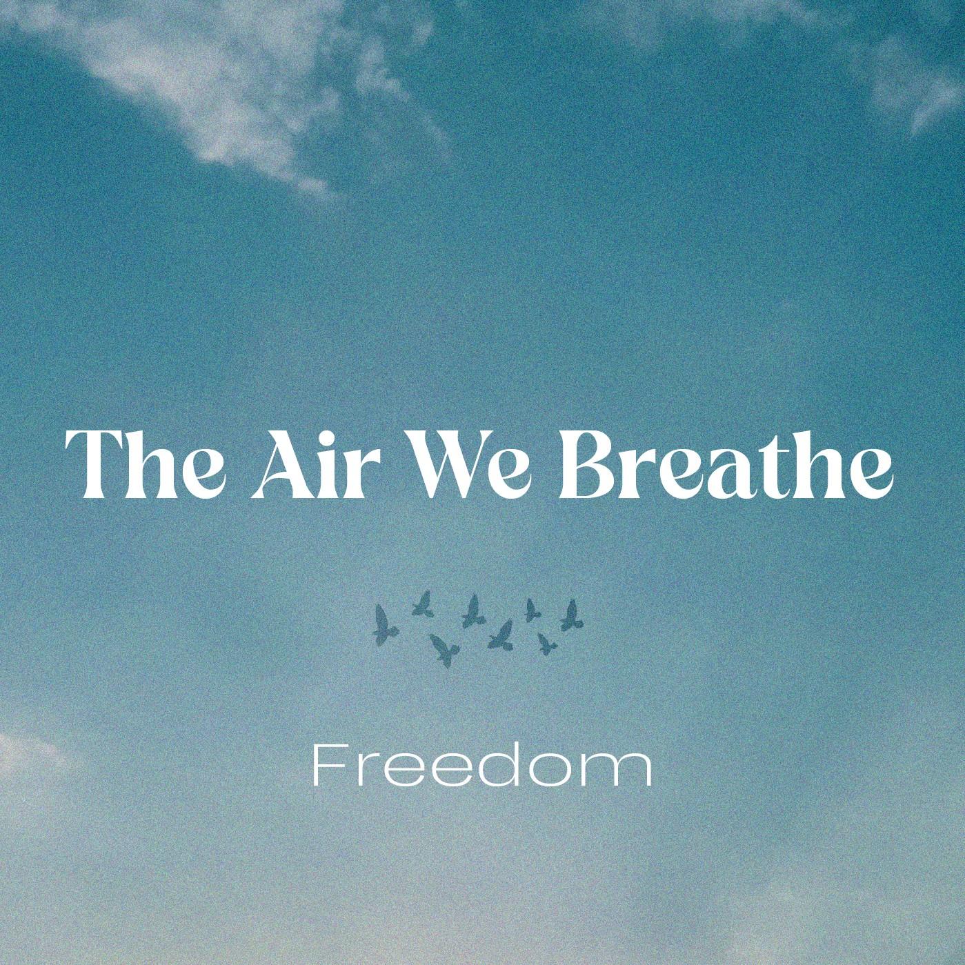 1 John 1:1-4 - CA Church: Town Centre Sermons (podcast) | Listen Notes