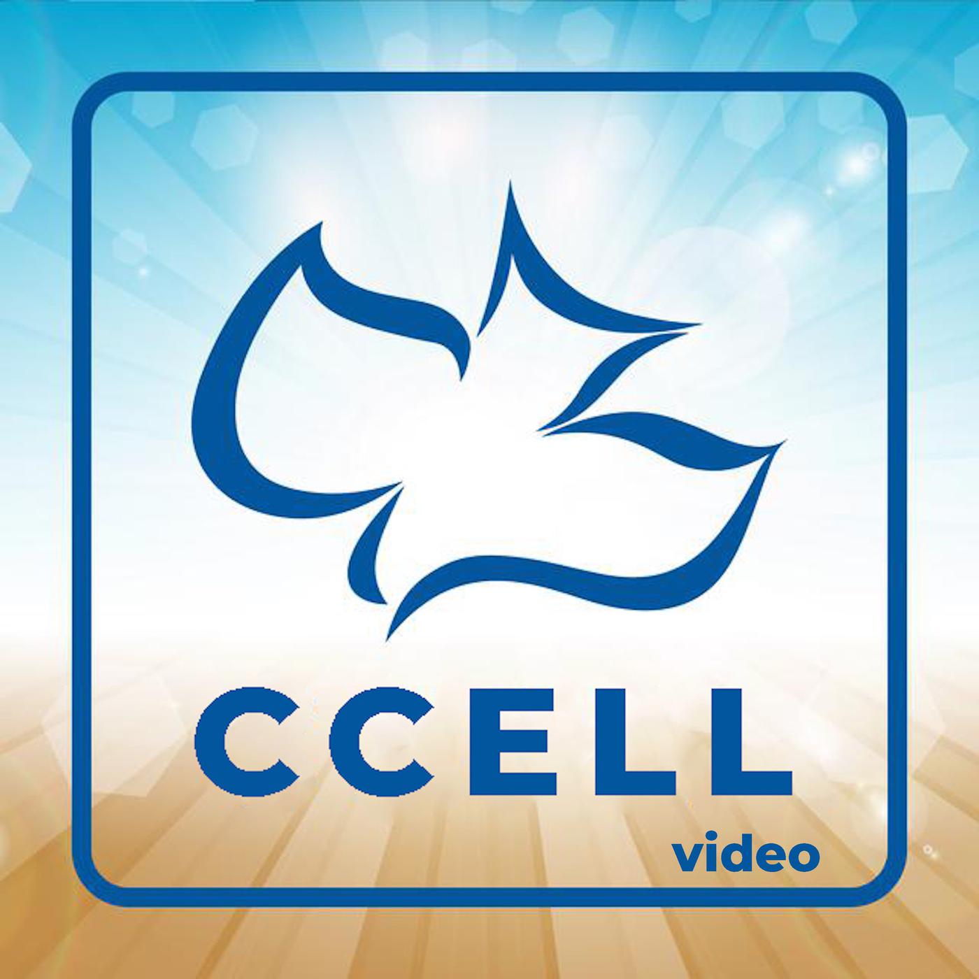 2 Reyes 5:1-27. De la Muerte a la Vida - Calvary Chapel En La Luz ...