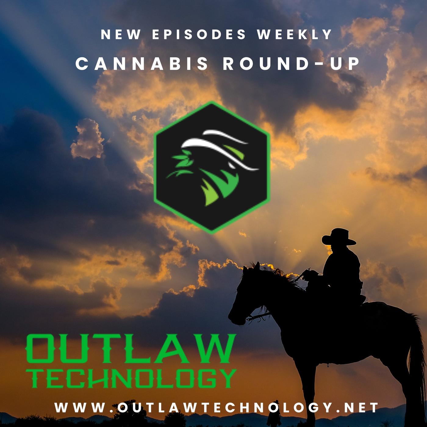 Hall of Flowers 2024, Ventura, CA – Part 1: Exploring California’s ...