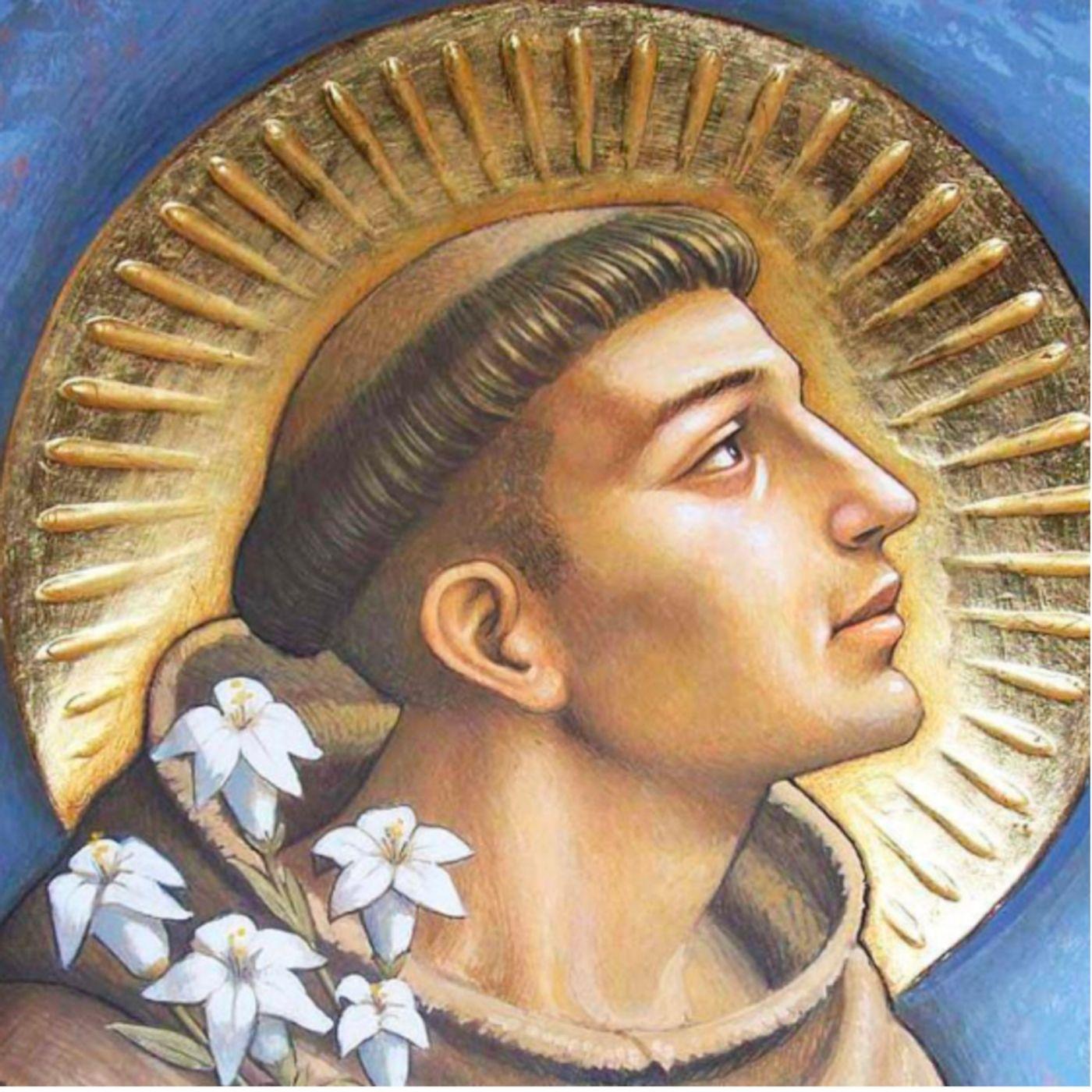 June 13: Saint Anthony of Padua - Catholic Saints & Feasts (podcast ...