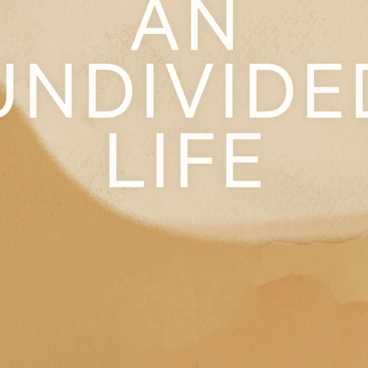 An Undivided Life: Undivided Devotion - Andy Tilsley | Listen Notes