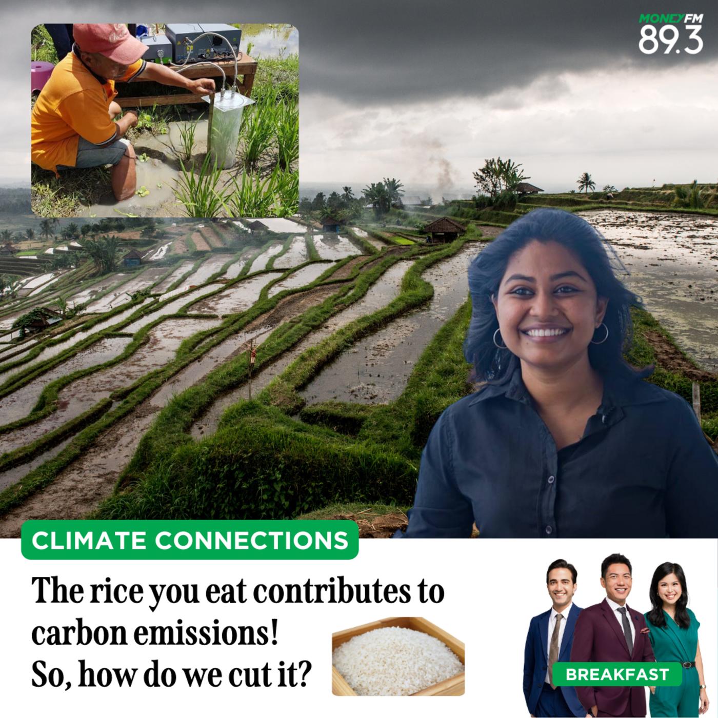 Climate Connections: The rice you eat contributes to carbon emissions ...