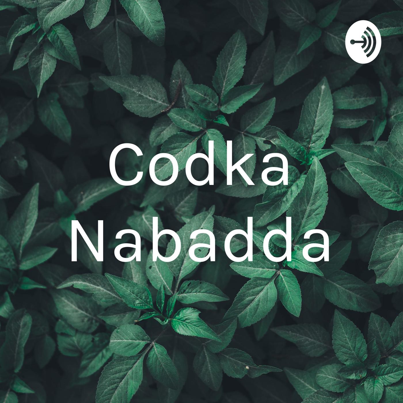 Codka Nabadda (podcast) - Xamse Cabdi | Listen Notes