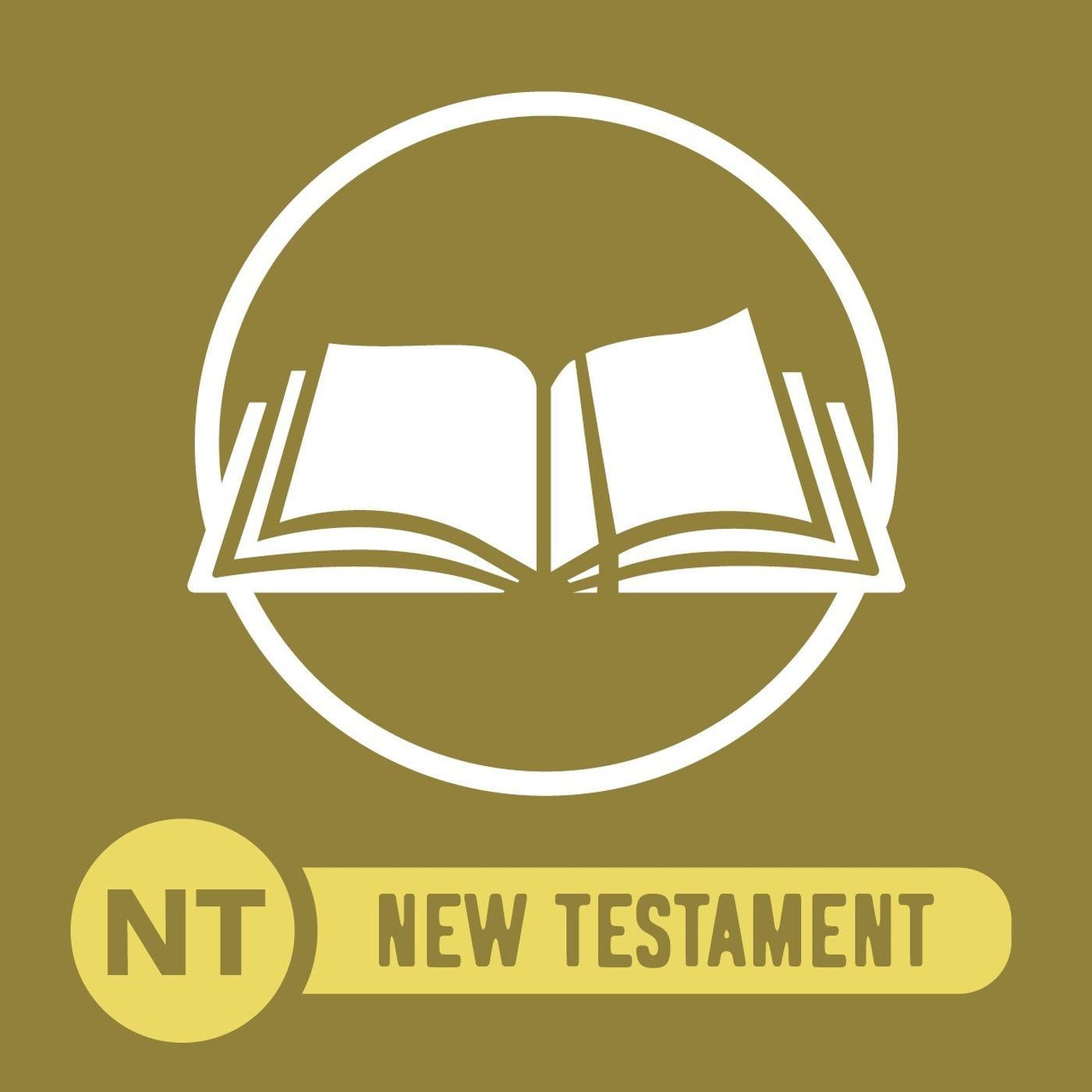 2 Corinthians 6-7 - Commuter Bible NT (podcast) | Listen Notes