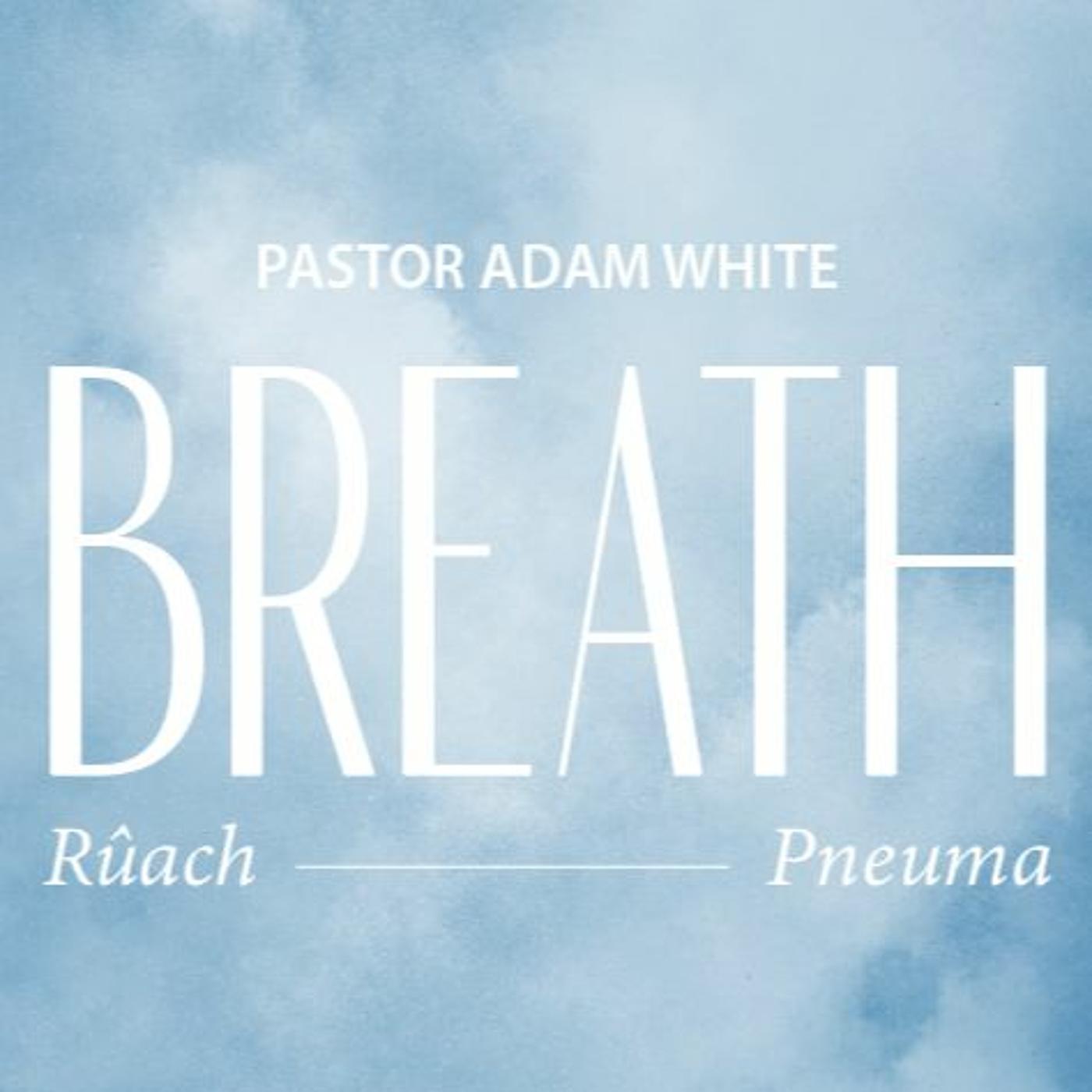 Pentecost | Pastor Adam White - Connect Church Podcast | Listen Notes