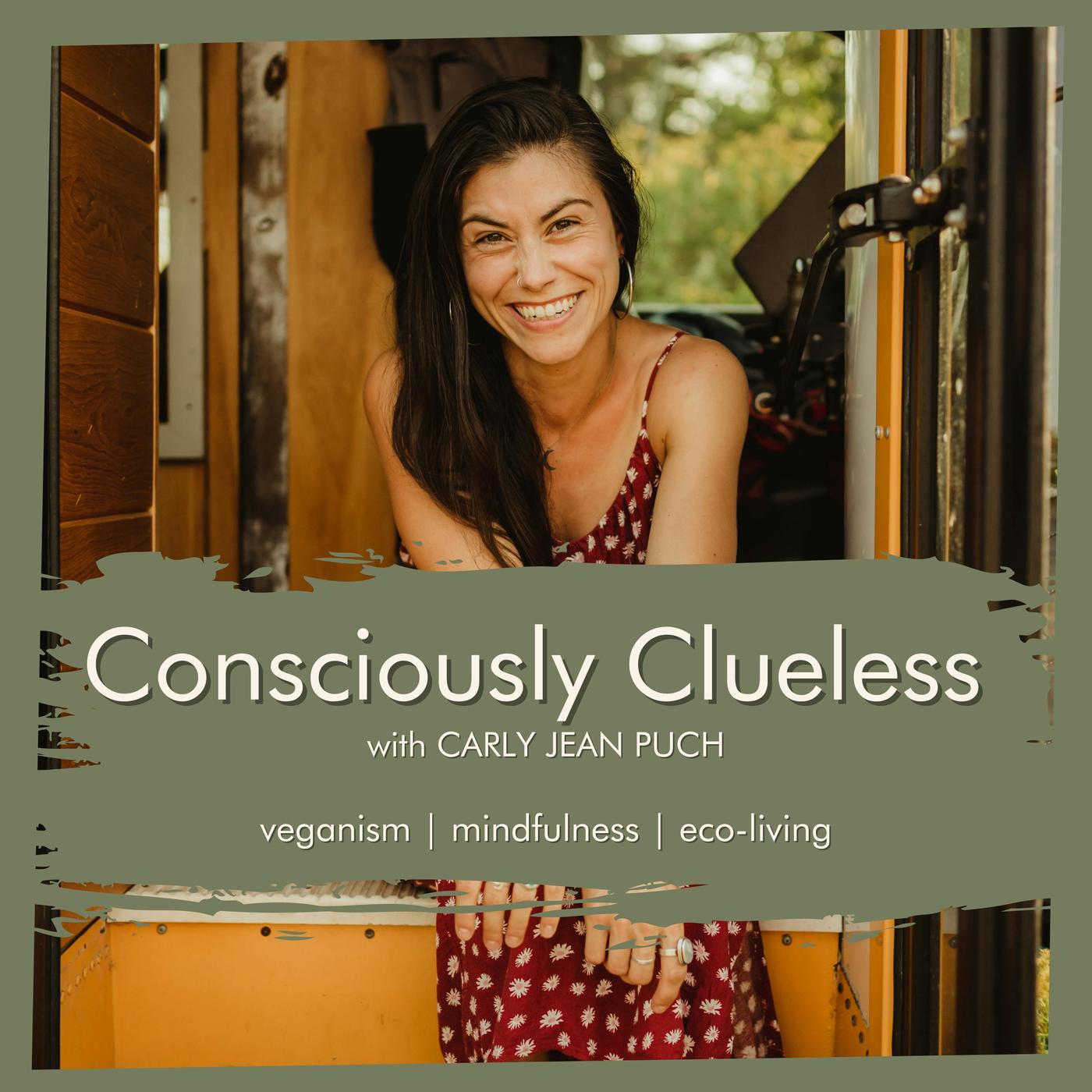 How to Run a Conscious Business with Natalie Brite - Consciously ...