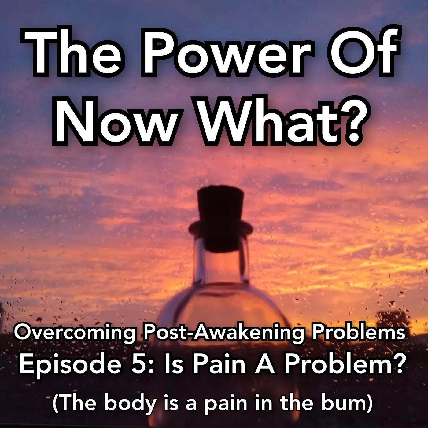 The Power Of Now What? A Podcast on Overcoming Post-Awakening Problems ...