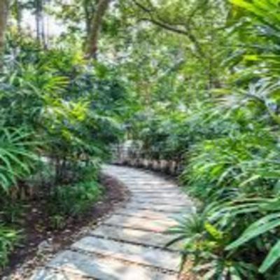 The "Costa Rica Pura Vida Lifestyle" Podcast Series / Are You a ...