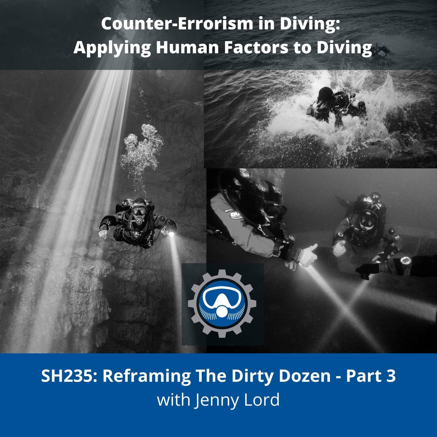 SH241: Top Tips for Beginner Divers: Performance Influencing Factors ...