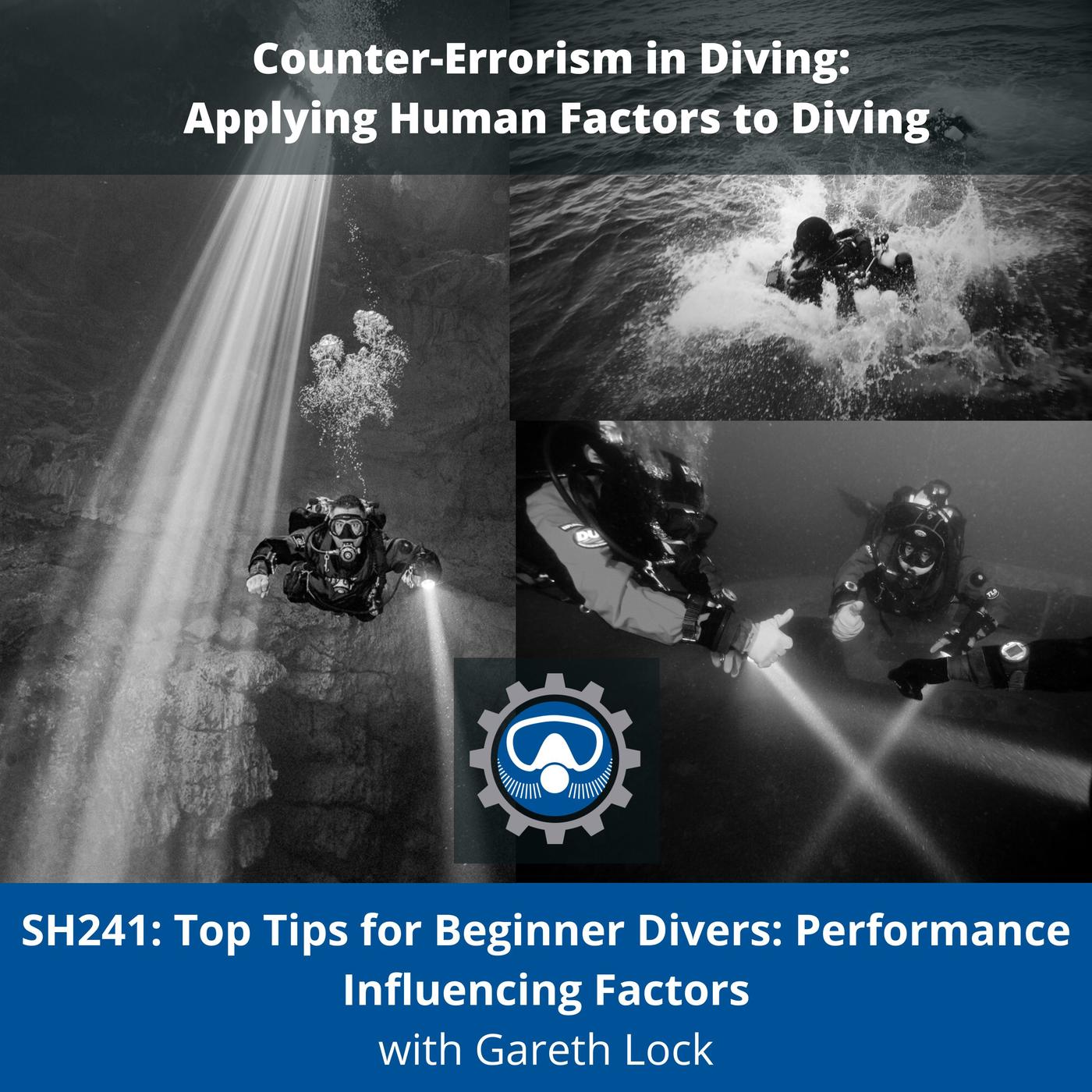 SH241: Top Tips for Beginner Divers: Performance Influencing Factors ...