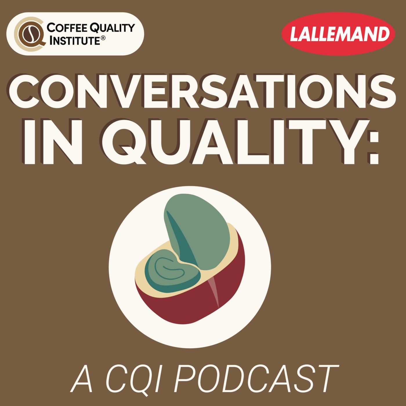 Conversations in Quality: A CQI Podcast - Felipe Sardi | Listen Notes