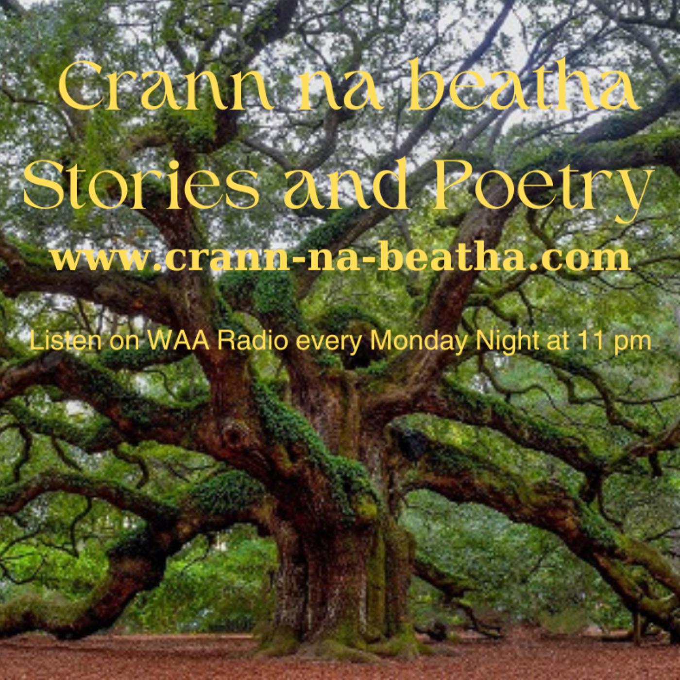 Three Short Stories from both Medium.com and Substack Writers | Listen ...