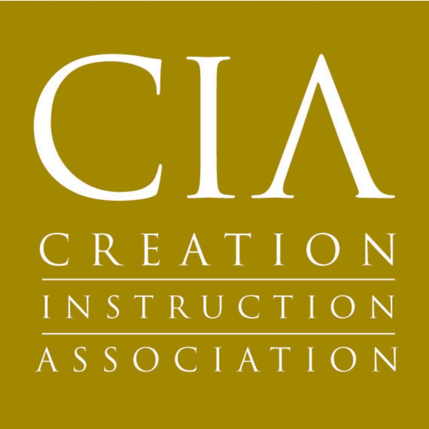 Suffering - A Biblical Overview - Creation Instruction Association ...