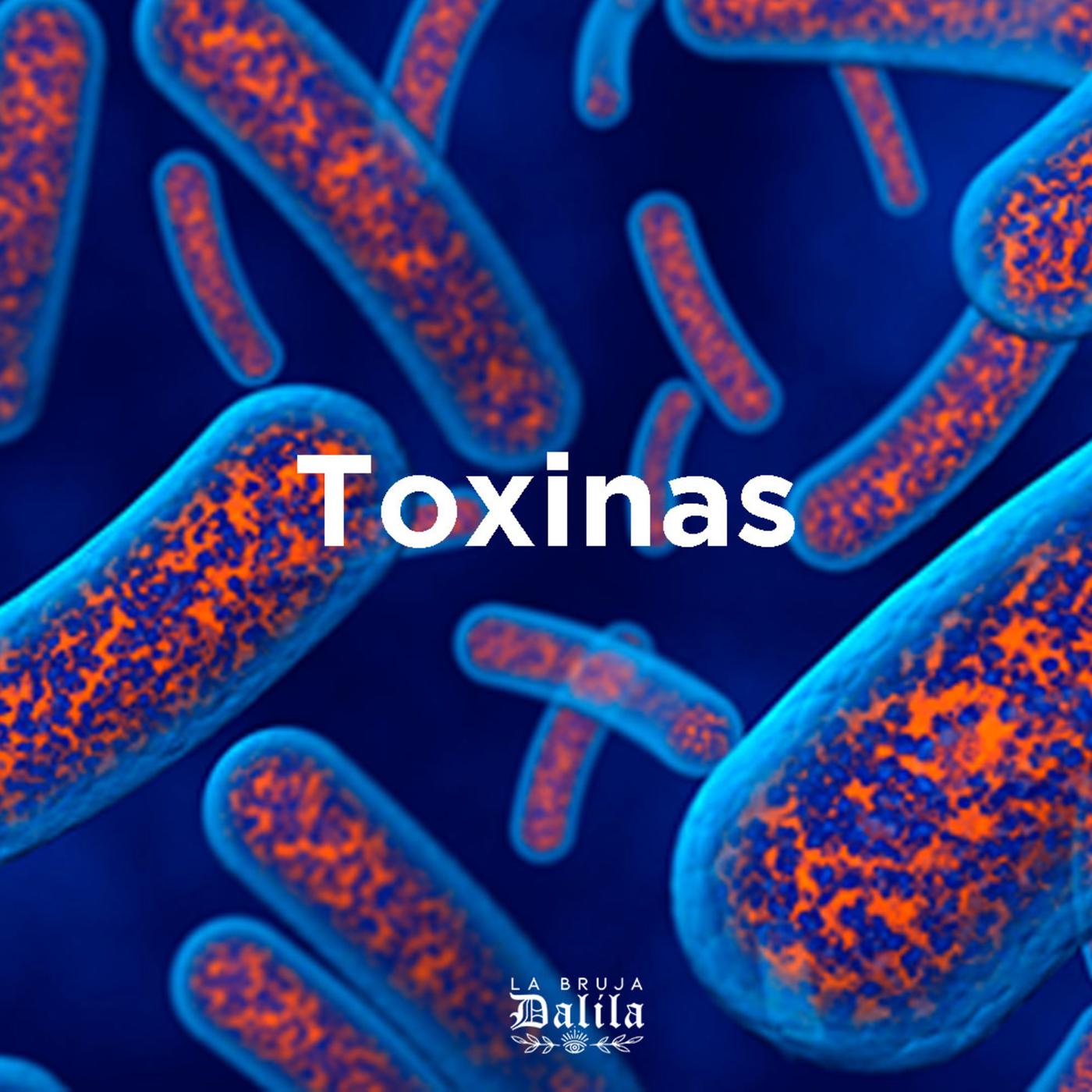 Ciclo del ácido cítrico y cadena respiratoria - Dalila, la bruja ...