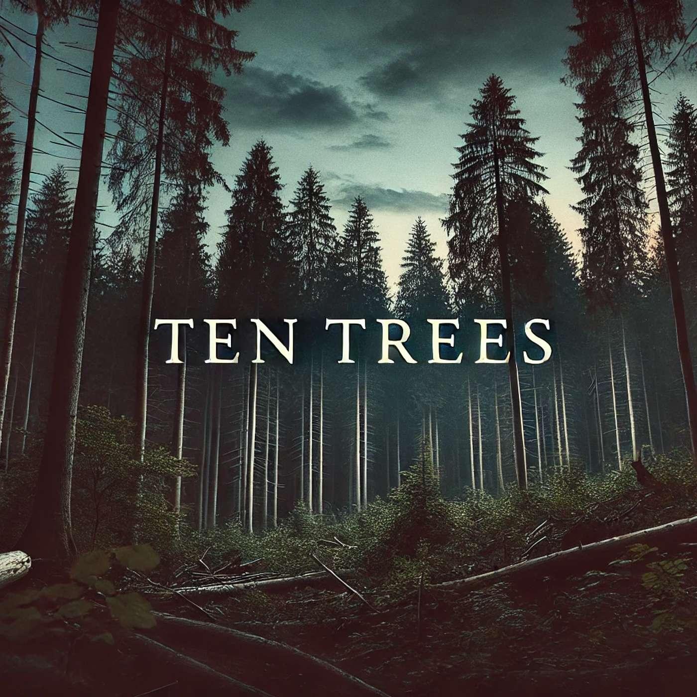 Eyes in the House - Dark Empty Roads (podcast) | Listen Notes