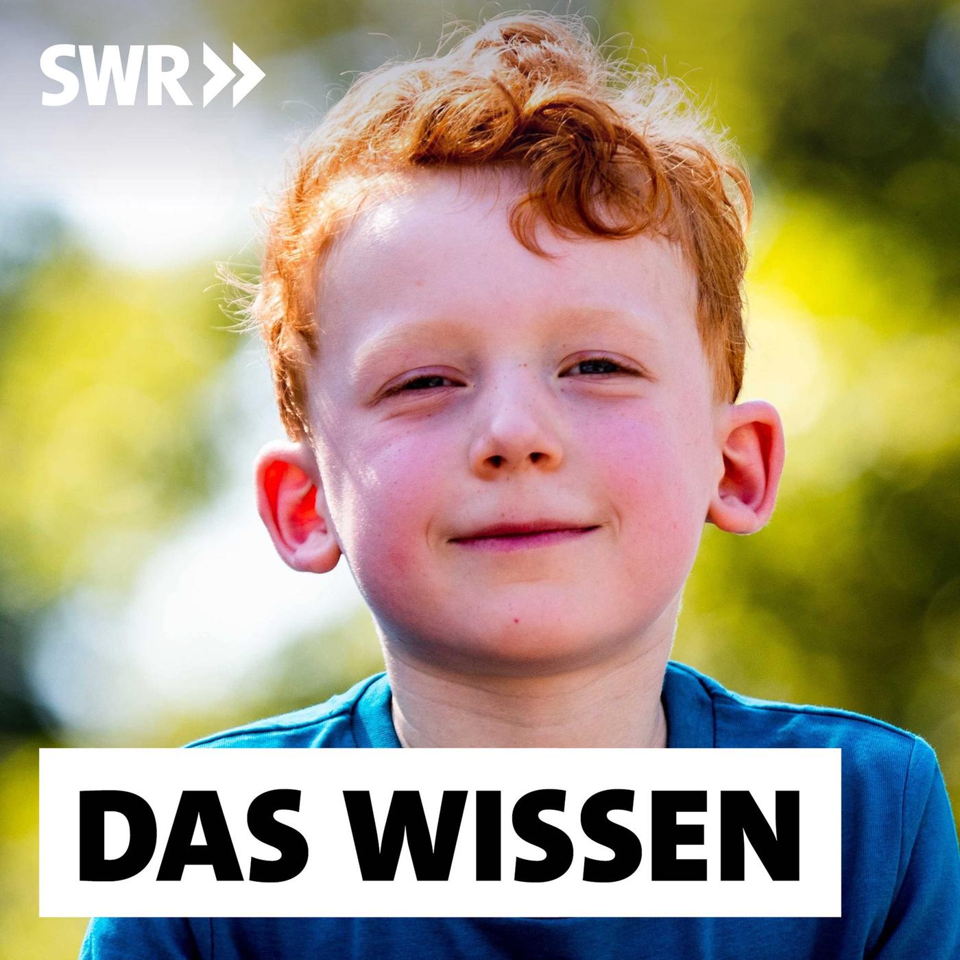Rote Haare – Vom Makel zur Marke - Das Wissen | SWR (podcast) | Listen ...