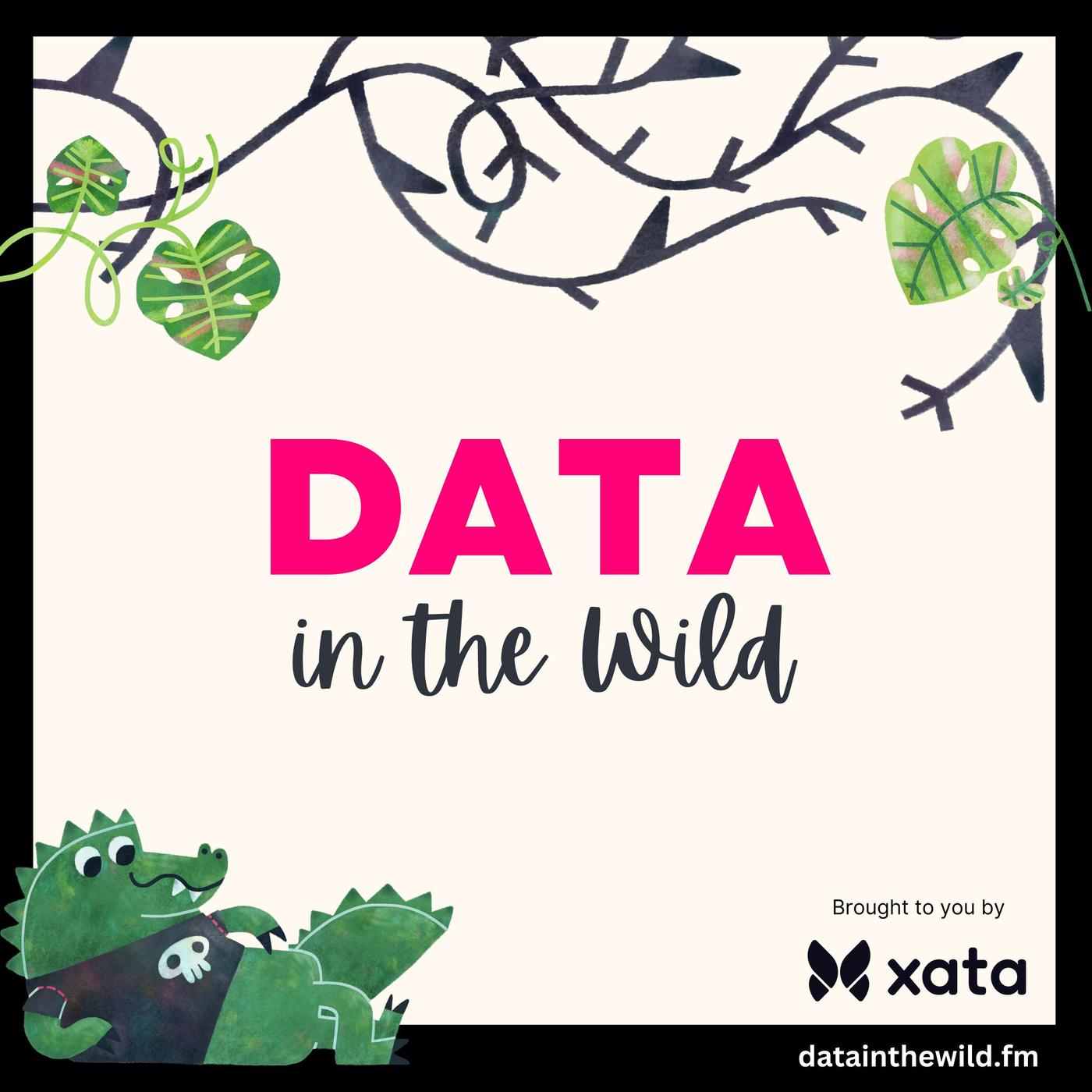 Data In The Wild Podcast Queen Raae Listen Notes