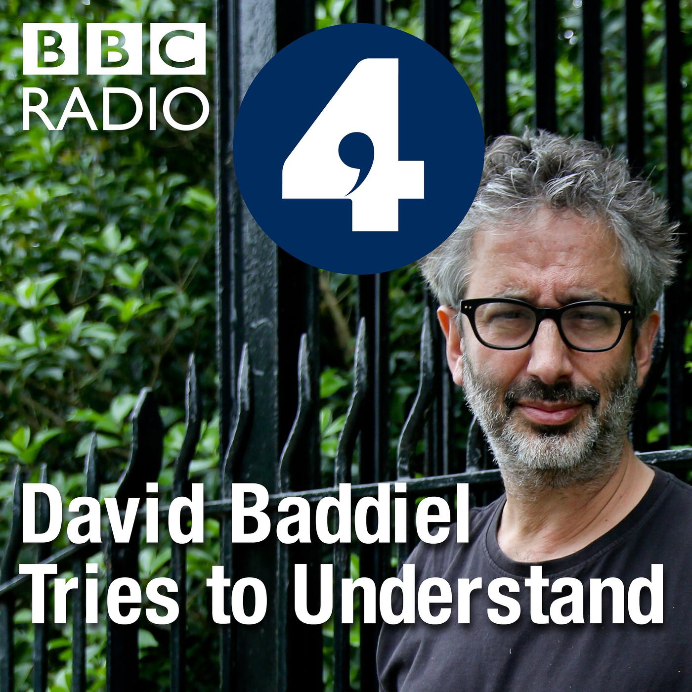 David Baddiel Tries to Understand (podcast) - BBC Radio 4 | Listen Notes