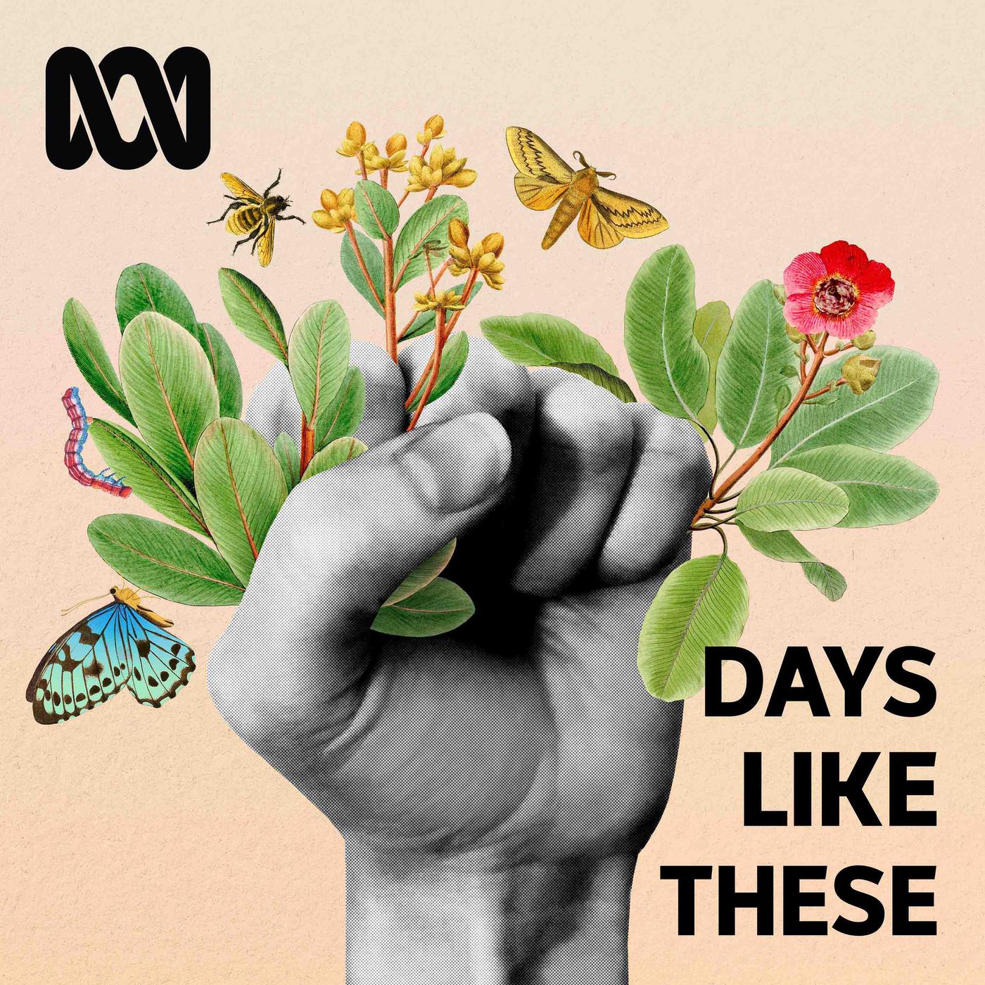 Days Like These (podcast) - ABC listen | Listen Notes