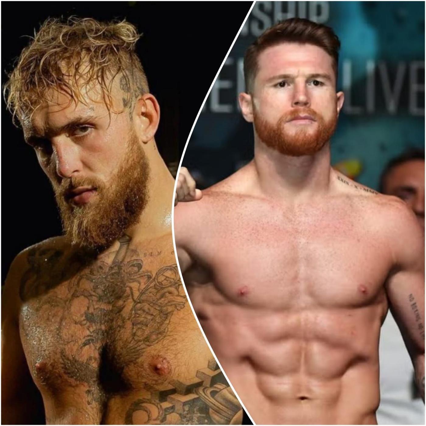 Saul Alvarez desaira a Jake Paul y prefiere pelear con William Scull ...