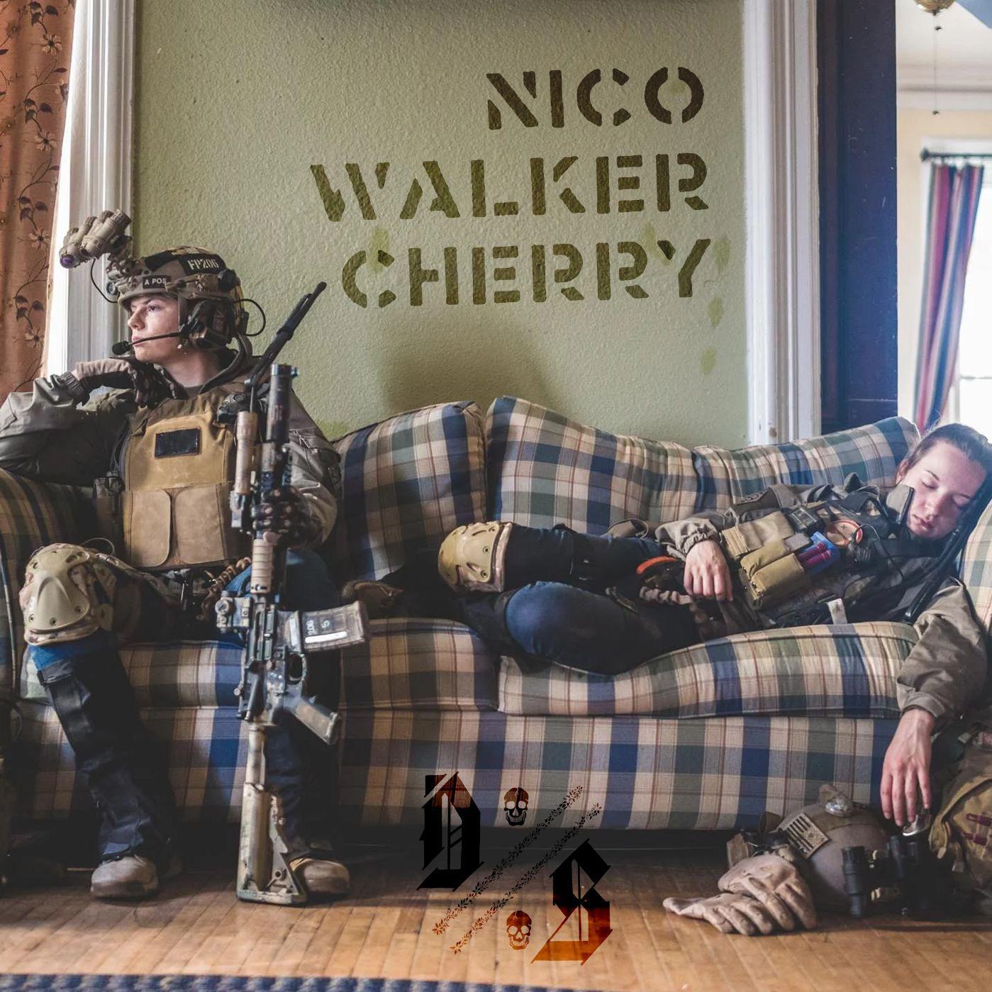 Hot Couch Guy Goes To War (Nico Walker's Cherry) - DEATH // SENTENCE ...