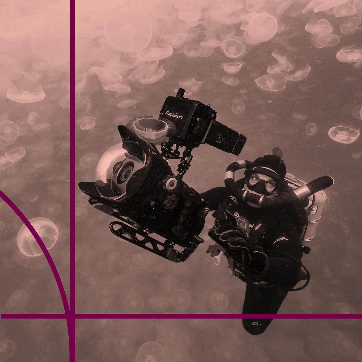 Roger Horrocks: My Octopus Teacher's cinematographer on shaping story ...