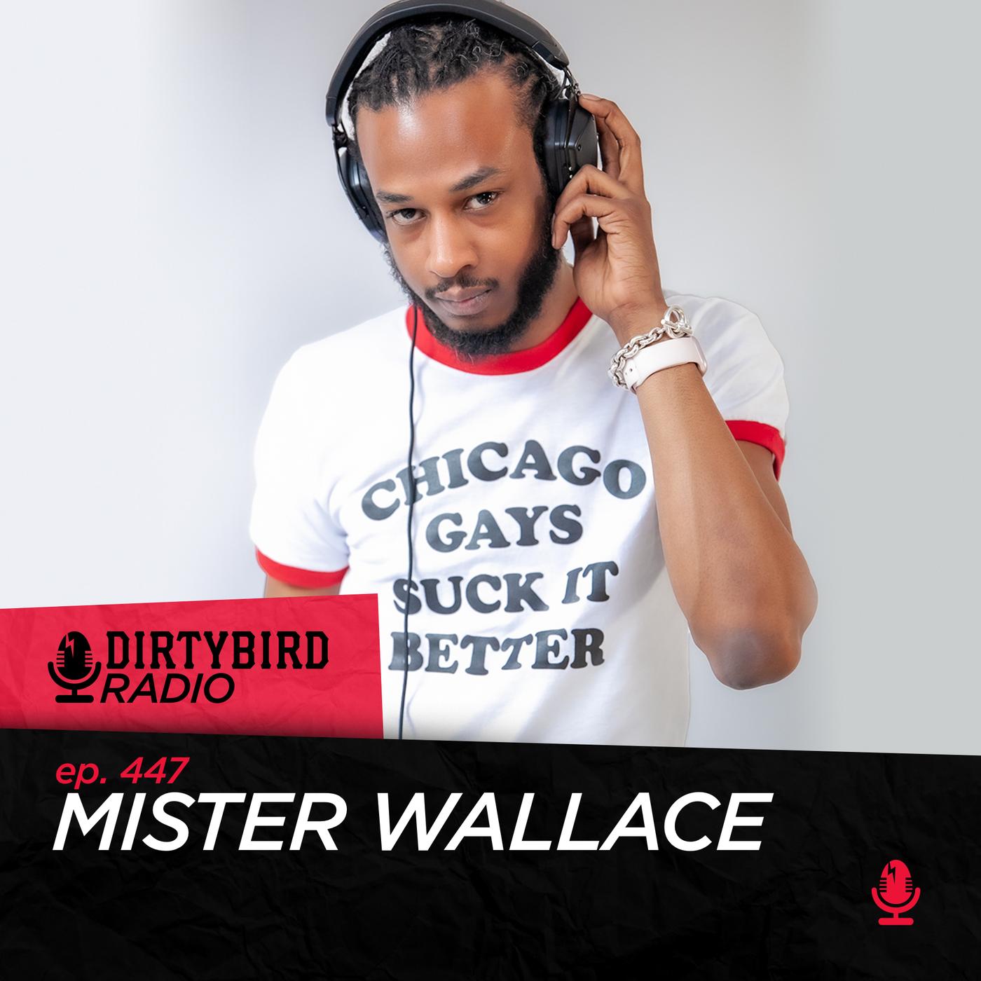 Dirtybird Radio 447 - Mister Wallace - Dirtybird Radio (podcast ...
