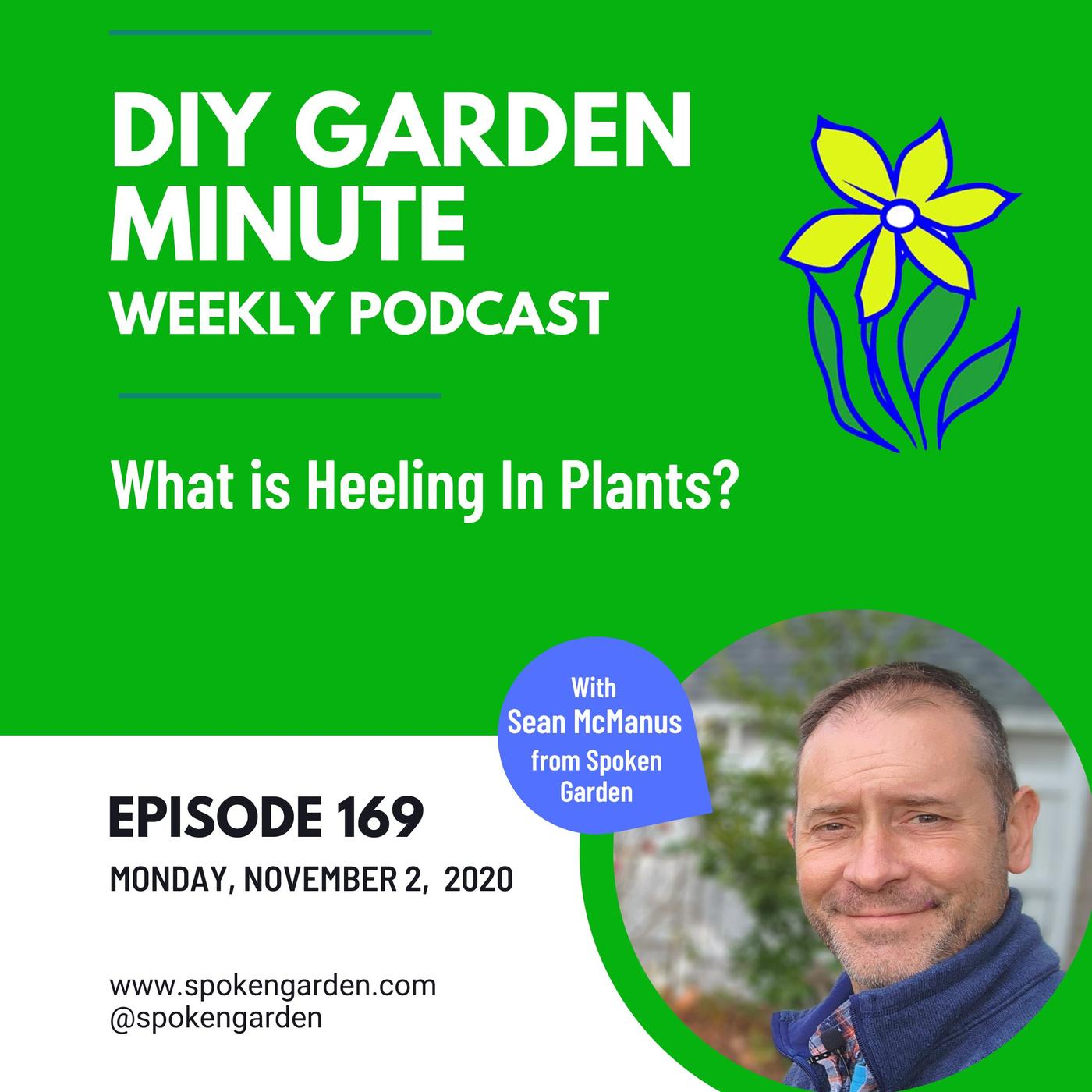 What is Heeling In Plants? - DIY Garden MinuteEp.169 | Listen Notes