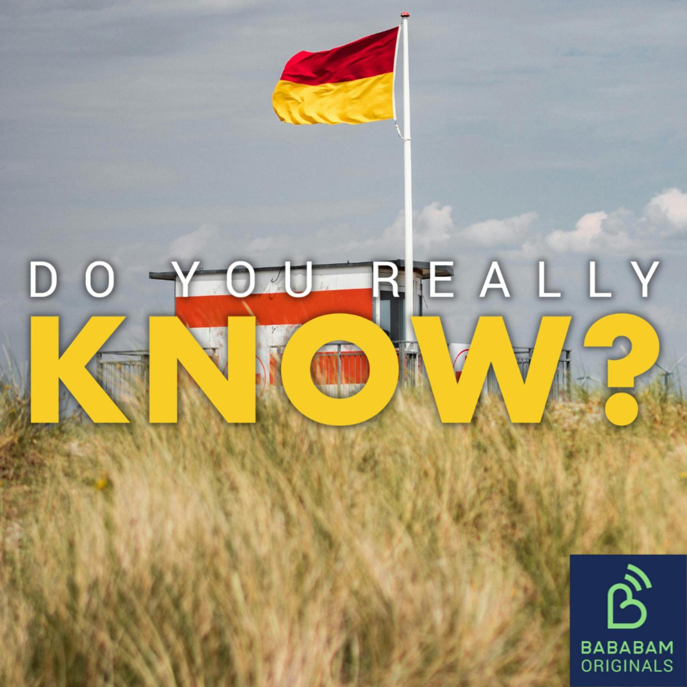 How to follow the beach flag system? - Do you really know? (podcast ...