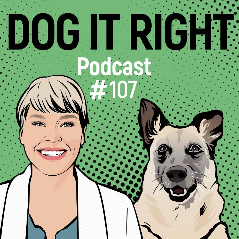 #107: Woran erkenne ich, dass Hundebegegnungen mit meinem Hund besser ...