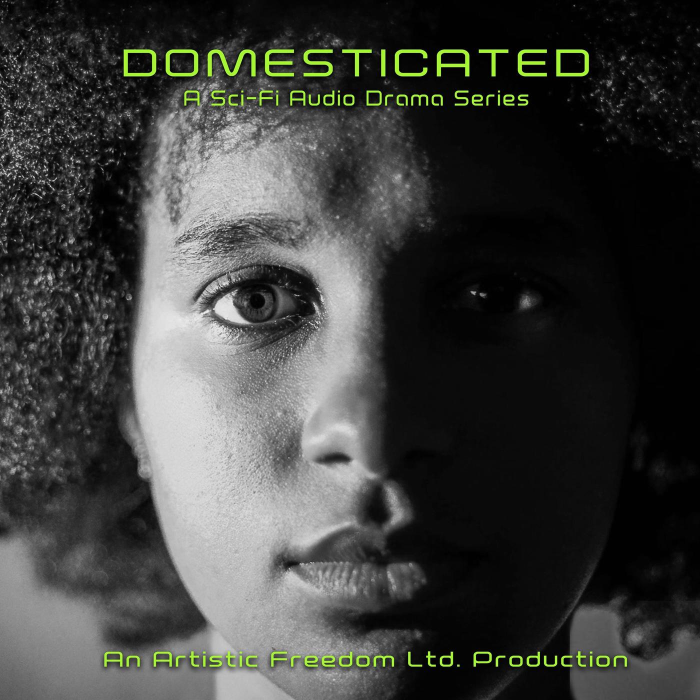 The Best Laid Plans (Alt: Gang Aft A-gley) - Domesticated (podcast ...