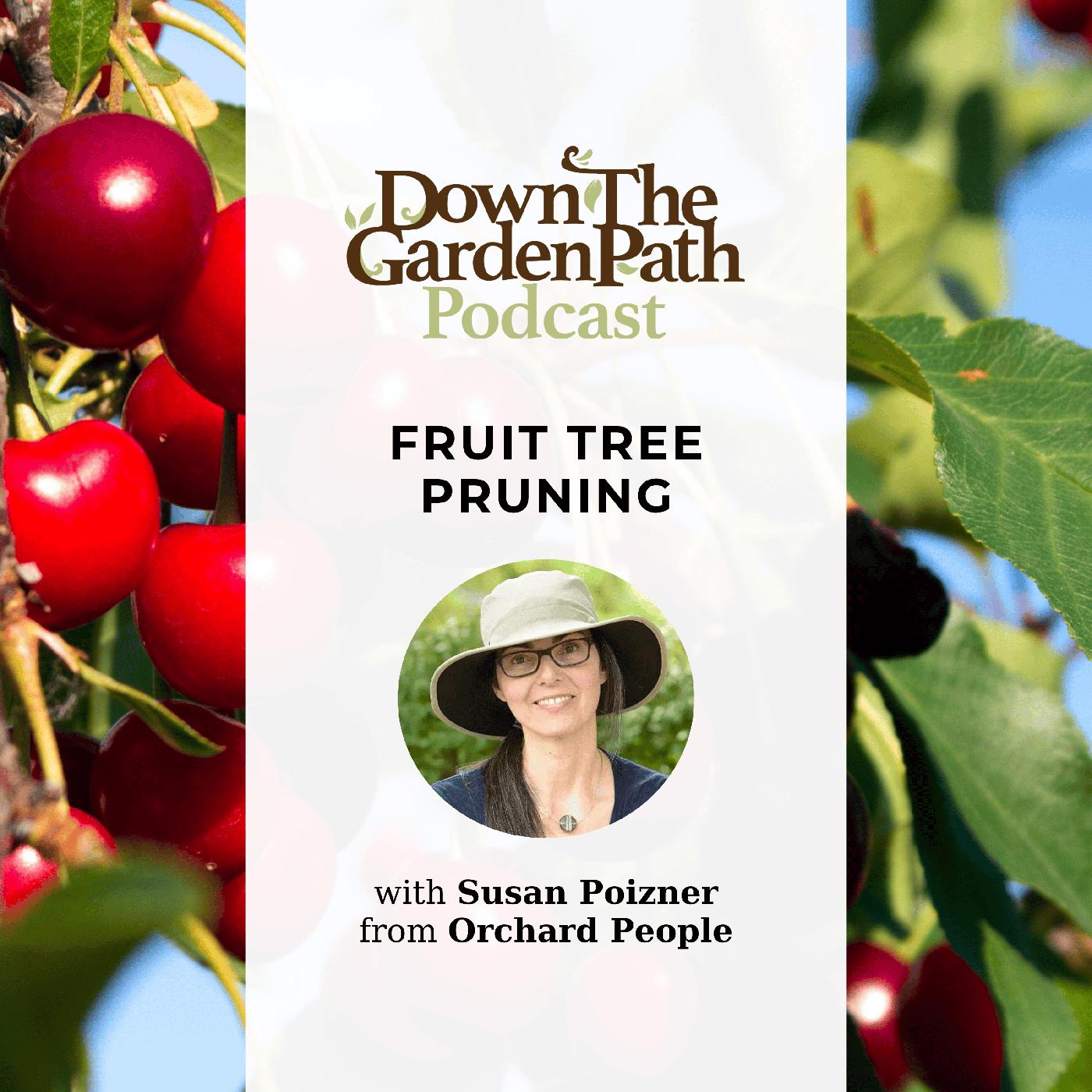 Designing with Native Plants - Down The Garden Path Podcast | Listen Notes