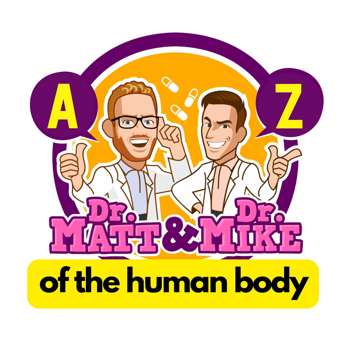 Anastomosis | A-Z of the Human Body - Dr. Matt and Dr. Mike's Medical ...