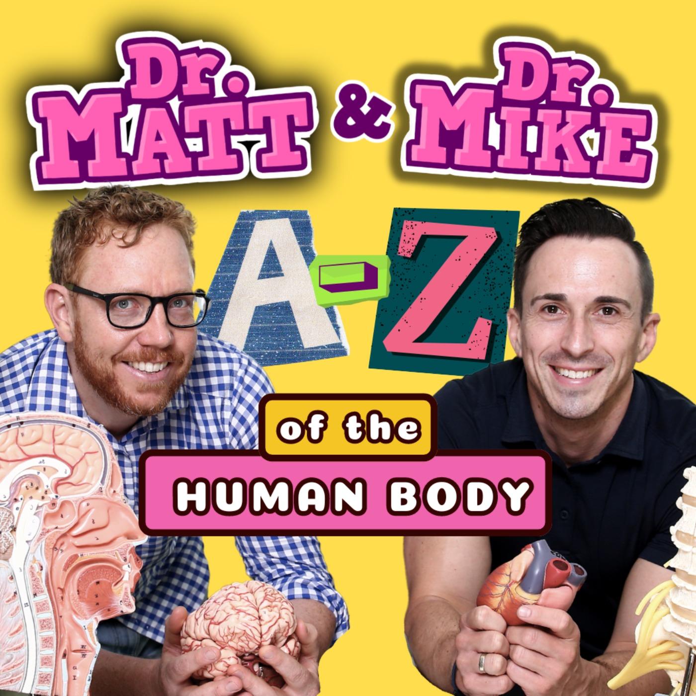 Dr Matt & Dr Mike's A-Z of the Human Body (podcast) - Michael Todorovic ...